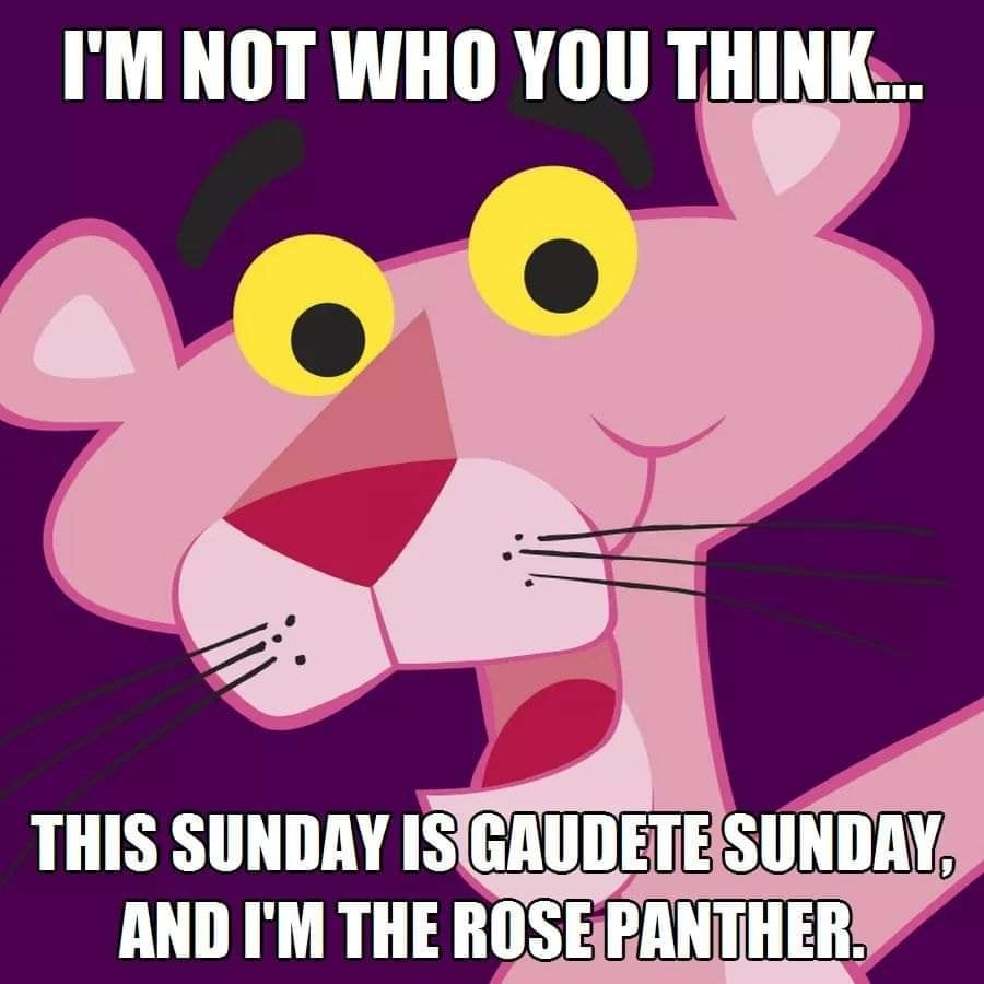 Gaudete Sunday! 3rd Sunday of Advent | Kids Chant Gaudete Sunday! 3rd Sunday of Advent | Kids Chant
